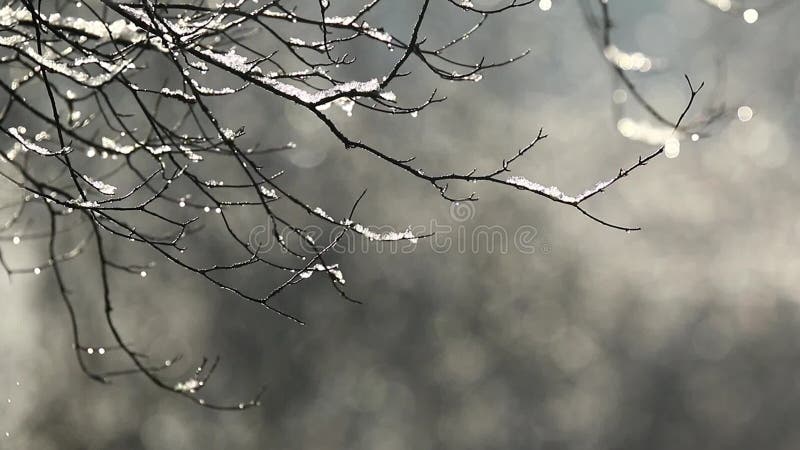 Snow melting stock video. Video of heating, frost, defrosting - 49604607