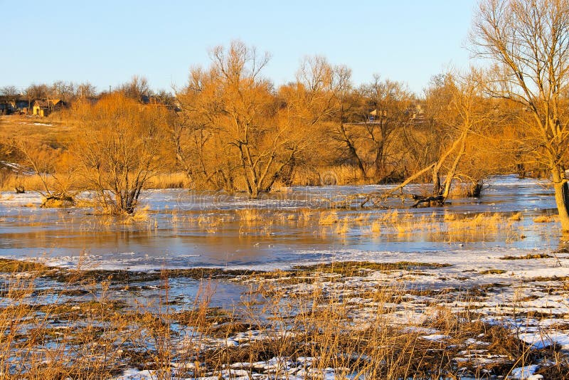 Snow melting on meadow stock photo. Image of climate - 136930612