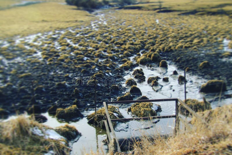 Iowa stock photo. Image of iowa, seasons, pasture, melting - 111069044