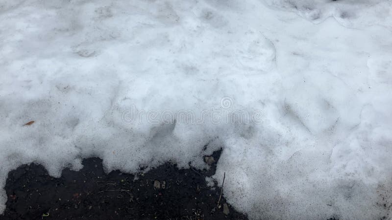 Snow melting stock video. Video of springtime, spring - 368740461