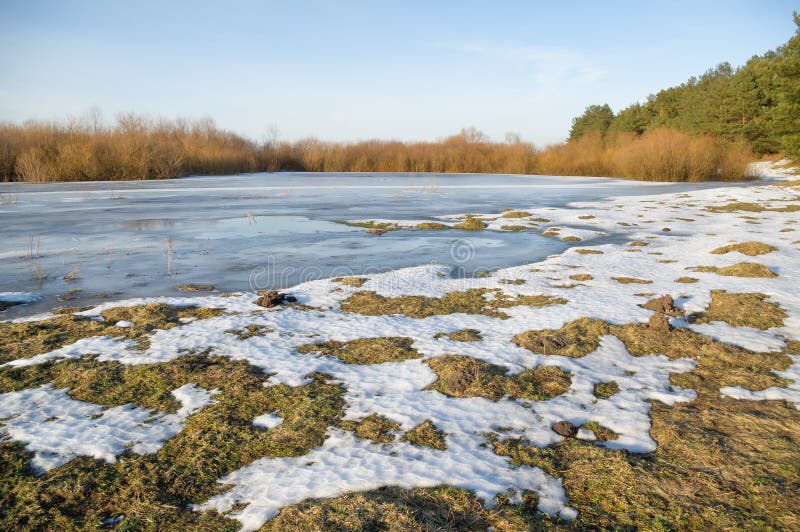 Snow Melting Under the Spring Sun Stock Photo - Image of light, element ...