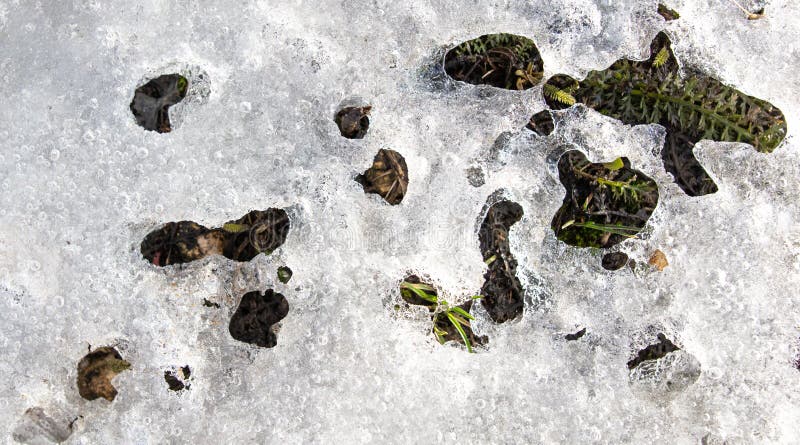 Snow Melts on the Ground in Spring. Stock Photo - Image of abstract ...