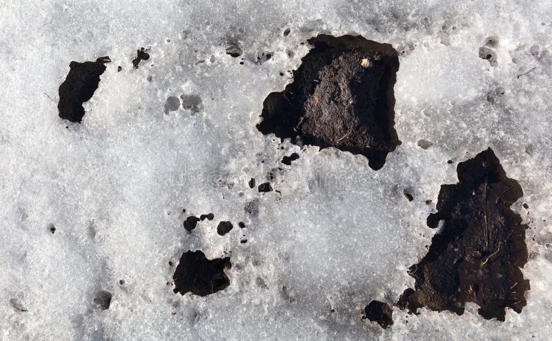 Snow Melts on the Ground in Spring. Stock Image - Image of closeup ...