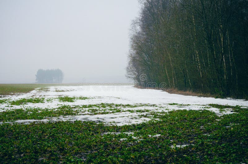 The Snow Melts in the Spring Field Stock Image - Image of melts, mist ...