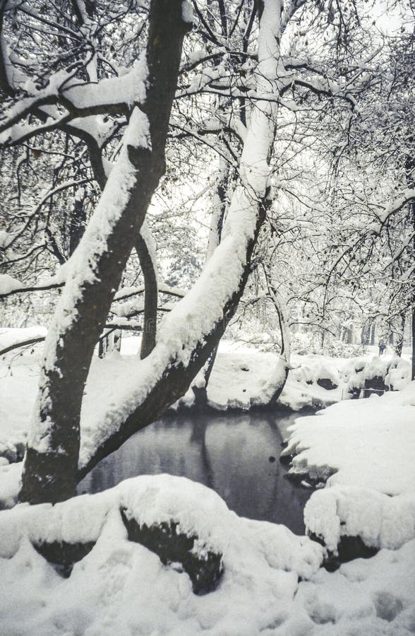 The snow at Milan stock image. Image of january, 1985 - 27440573