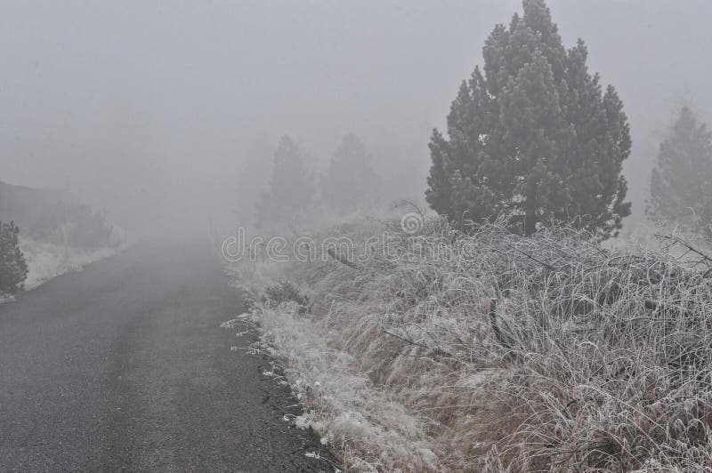 Snow Mist Makes Road Unclear Stock Photo - Image of green, covered ...