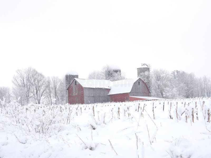 Snow Mist Morning after Upstate NY FingerLakes Snowstorm Stock Photo ...