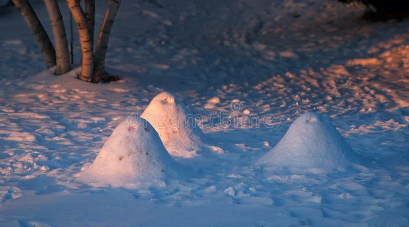 Snow Monsters or Creatures in Late Afternoon Sunlight Stock Photo ...