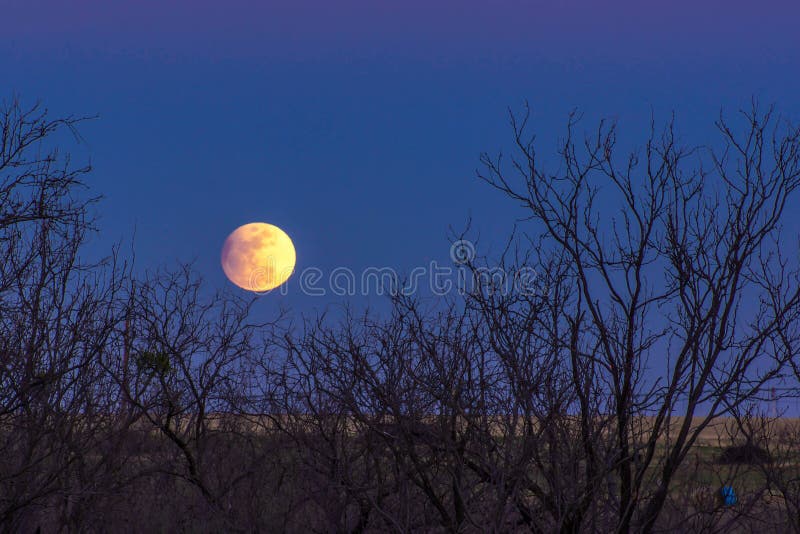Snow Moon Rises Over Pasture Stock Photo - Image of fields, west: 87375966