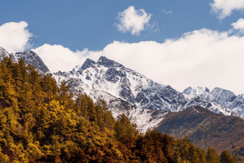 Snow Mountain with Autumn Forest in Sichuan, China Stock Photo - Image ...