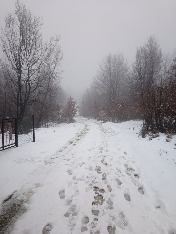 Road Path Snowpath Mountain Snow Stock Photo - Image of snow, path ...