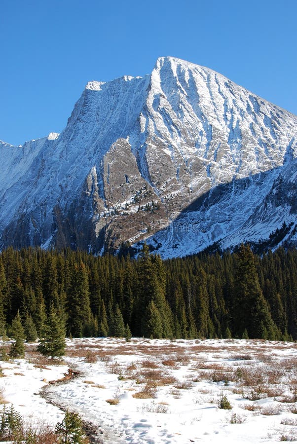 Snow mountain and meadow stock photo. Image of meadow - 7475102