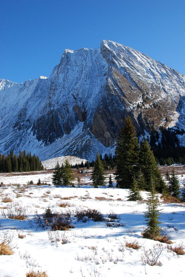 Snow mountain and meadow stock image. Image of trees, lake - 7475157