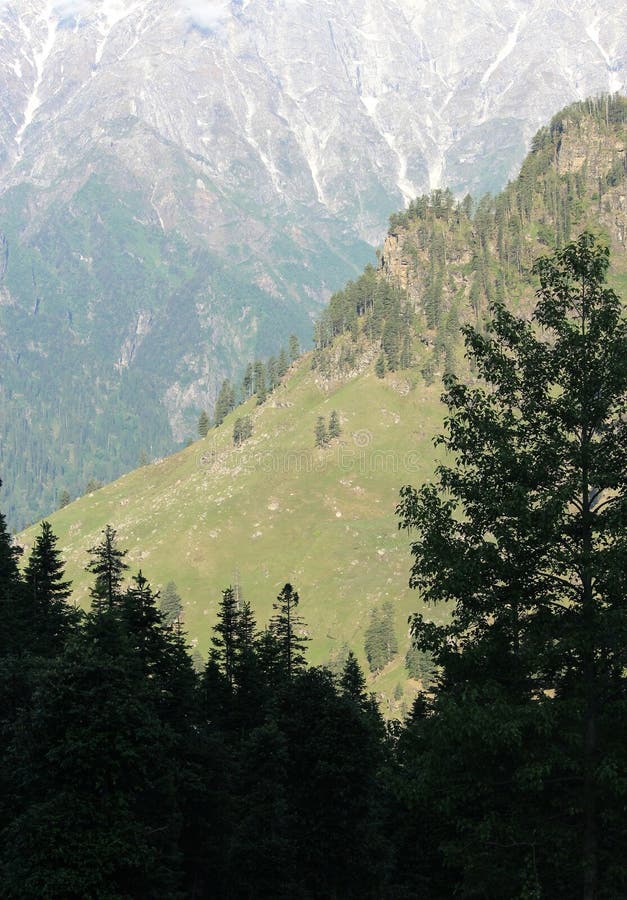 Snow stock image. Image of tree, nature, hill, terrain - 79717281