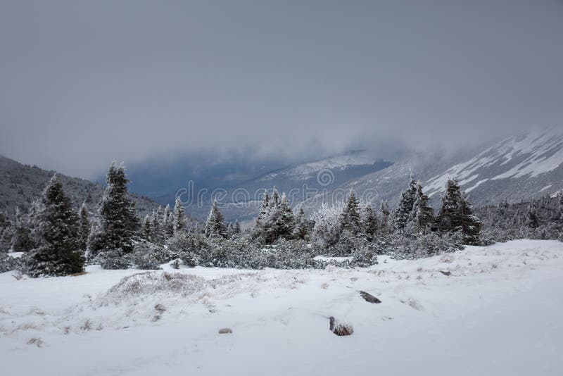 Snow on the mountain top stock photo. Image of nature - 96834576