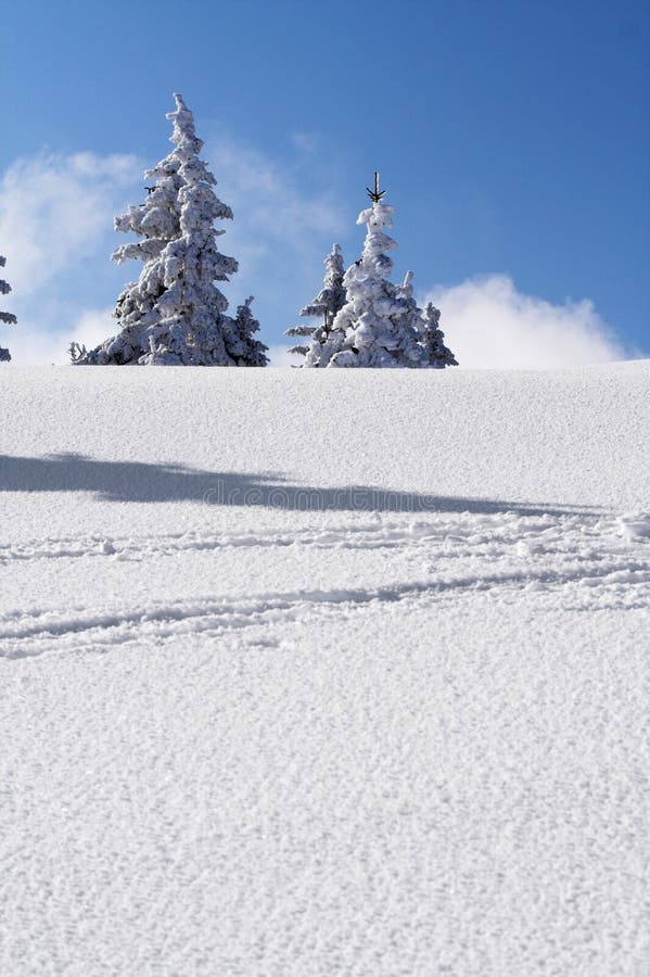 Snow mountain trees stock image. Image of mountain, fresh - 6587365