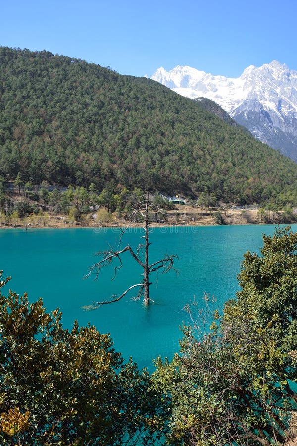 Snow Mountain and Waterfall Stock Image - Image of yunnan, snowberg ...