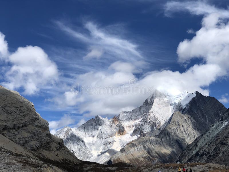 Snow mountain in Yading stock photo. Image of flower - 261985212
