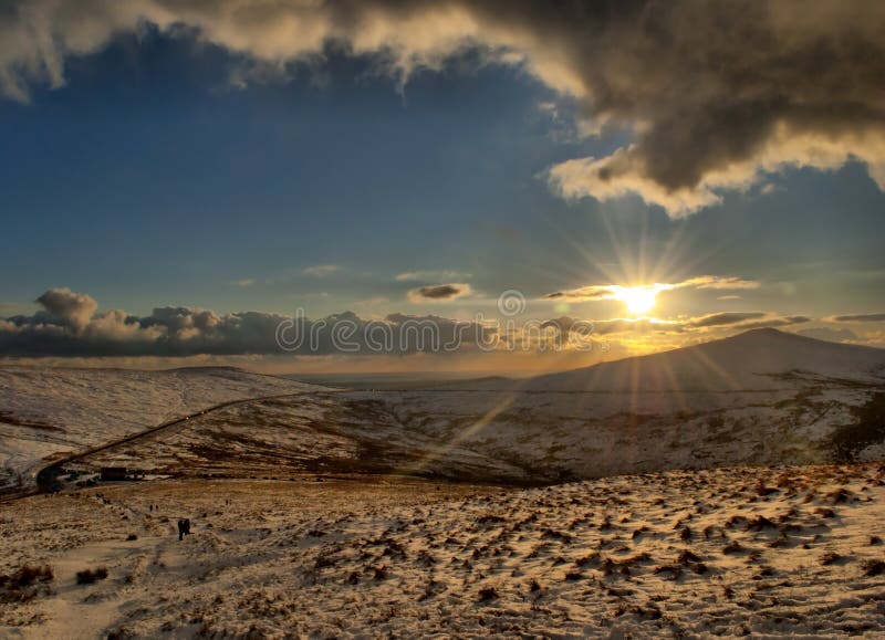 Direct Sunlight through Japanese Cedar Trees with Fog in the Forest in ...