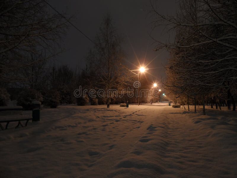 Snow in the night park stock photo. Image of winter - 116517458