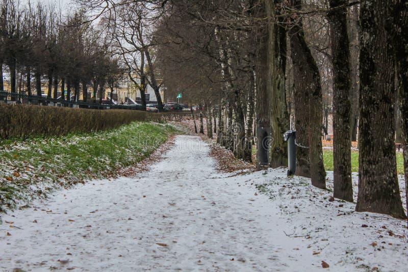 Snow in October in the Park Stock Image - Image of tree, cold: 103120895