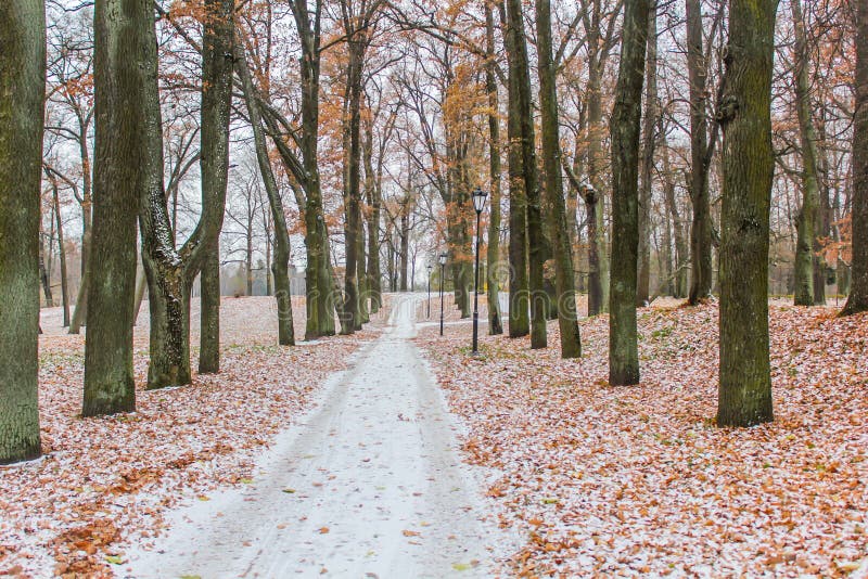 Snow in October in the Park Stock Photo - Image of park, climate: 103120904