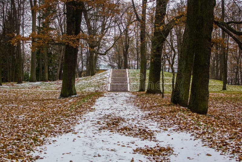 Snow in October in the Park Stock Image - Image of winter, frozen ...