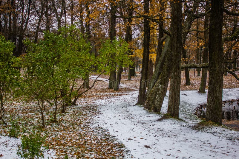Snow in October in the Park Stock Image - Image of snowflakes, look ...
