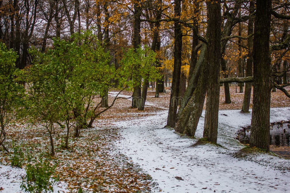 Snow in October in the Park Stock Image - Image of snowflakes, look ...