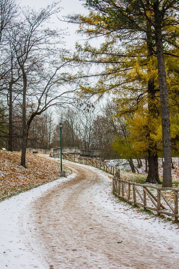 Snow in October in the Park Stock Image - Image of christmas, november ...