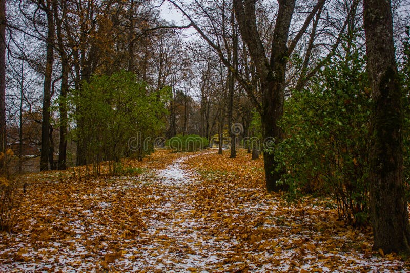 Snow in October in the Park Stock Image - Image of cold, frozen: 103129425