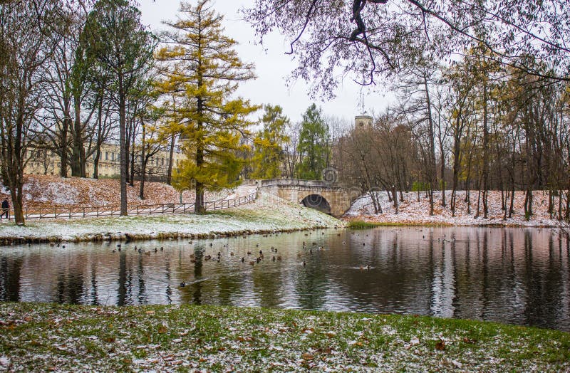 Snow in October in the Park Stock Photo - Image of crystal, drift ...