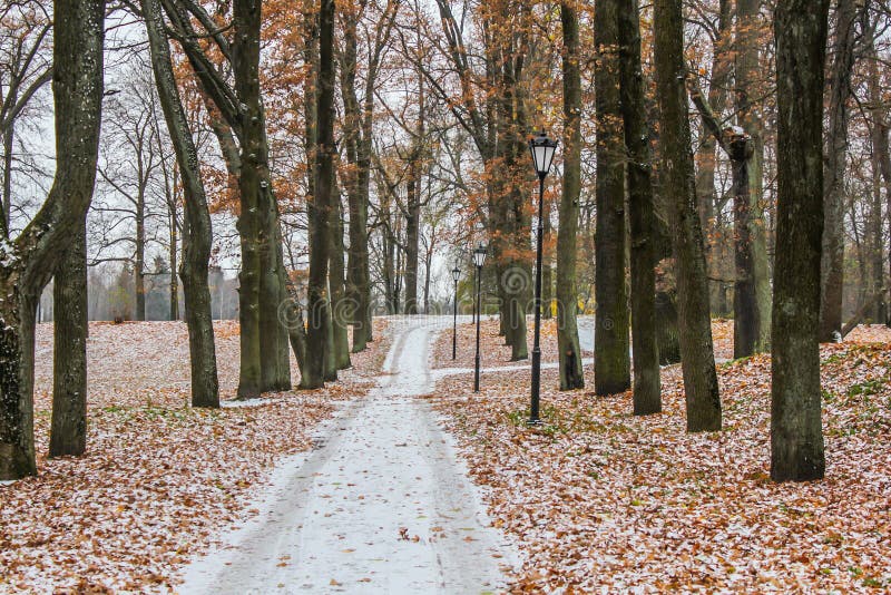 Snow in October in the Park Stock Photo - Image of november, drift ...