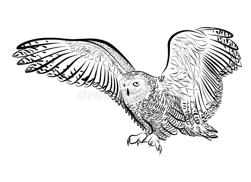 Logo Snowy Owl Stock Illustrations – 107 Logo Snowy Owl Stock ...