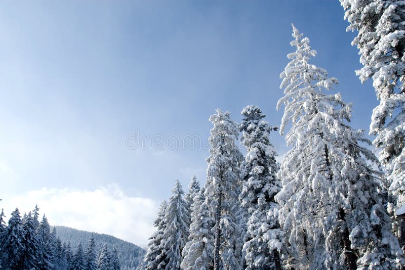 Snow Paradise Picture. Image: 6880327