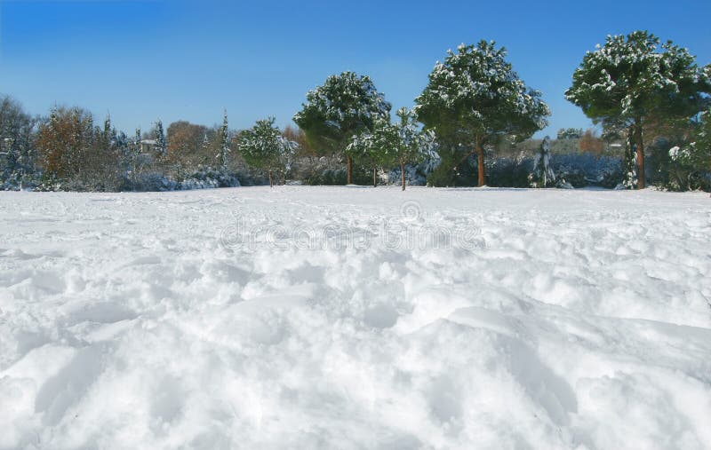 Snow park stock image. Image of cold, park, white, snowed - 19852085