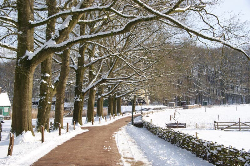 Snow in the park stock image. Image of road, outdoors - 21604047