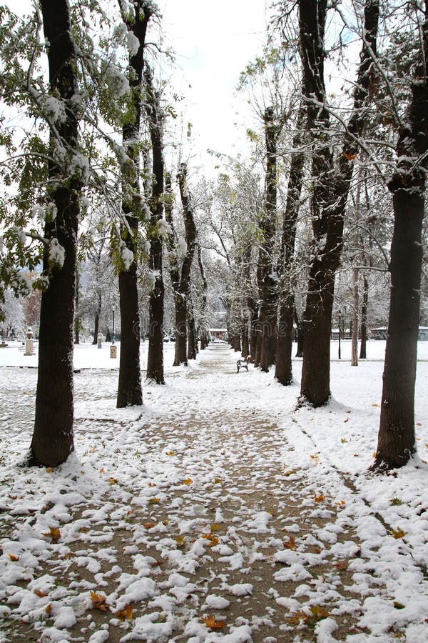 Snow in the Park stock image. Image of bench, scene - 197784451