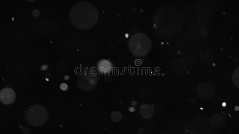 Snow Particles Effects on Black Background Stock Footage - Video of ...