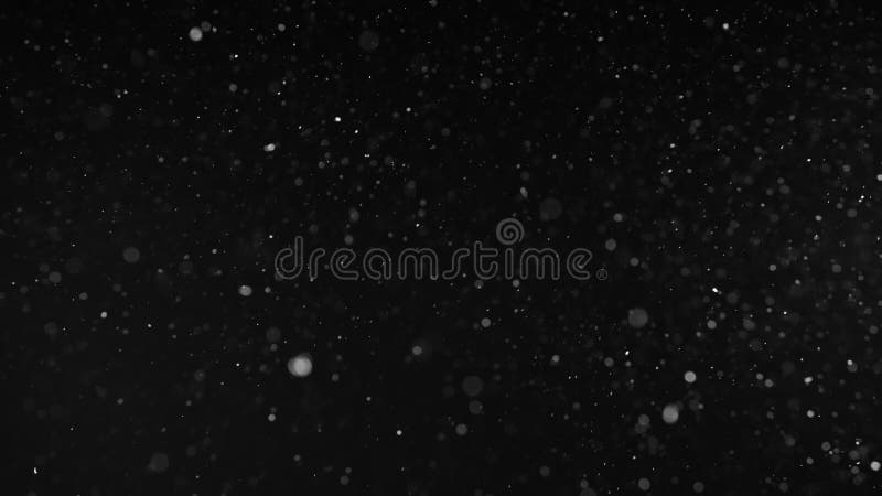 Snow Particles Effects on Black Background Stock Footage - Video of ...