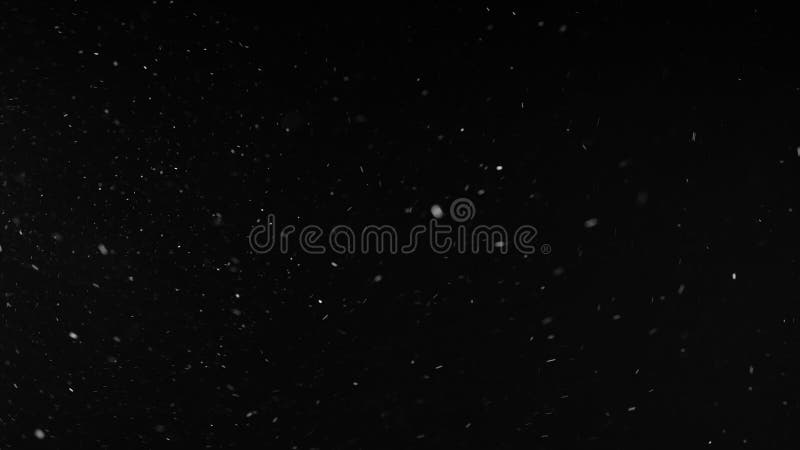 Snow Particles Floating in the Air Black Background Stock Footage ...