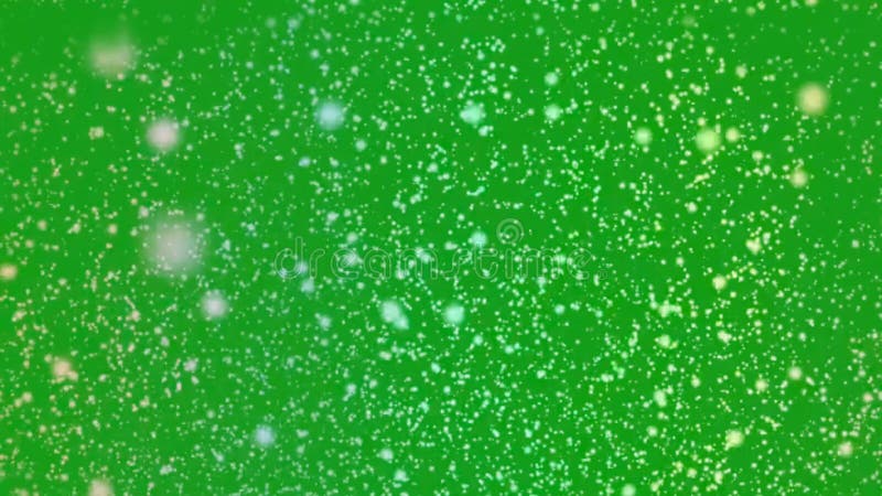 Snow Particles with Green Screen Background Stock Footage - Video of ...