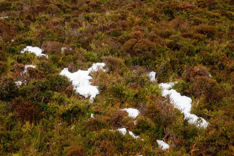 Snow Patch on a Side of a Road, Winter Cold Season Concept. Stock Image ...