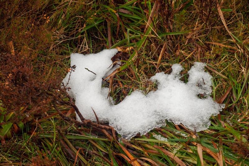 Snow Patch on a Grass in a Field. Stock Image - Image of snow, weather ...