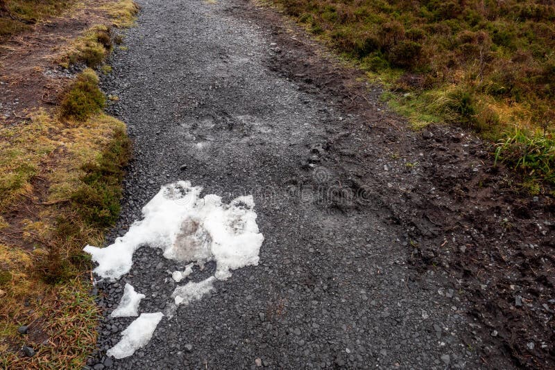 Snow Patch on a Side of a Road, Winter Cold Season Concept. Nobody ...