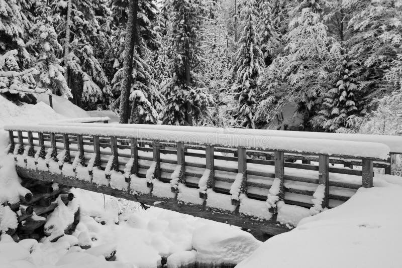 Snow path stock photo. Image of winter, travel, nature - 11921522