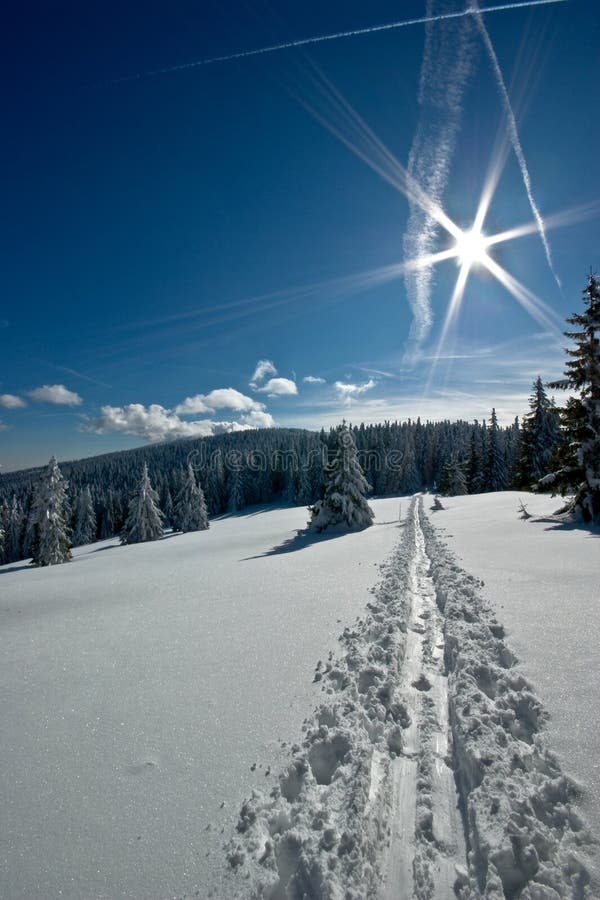 Snow Path stock photo. Image of nature, frost, white - 12123420