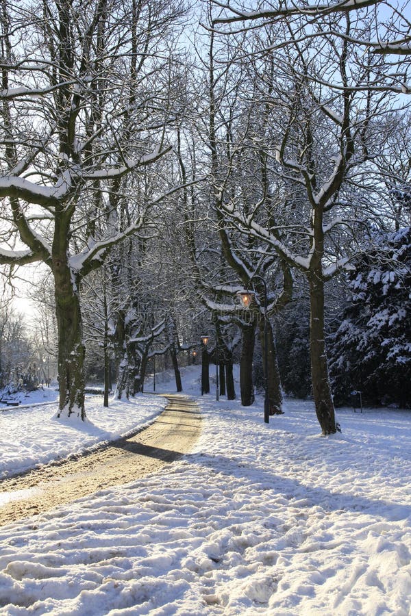 Snow path stock photo. Image of covered, landscape, snow - 12333954