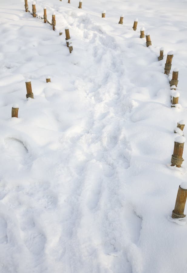 Snow path stock image. Image of footpath, december, landscape - 12722999
