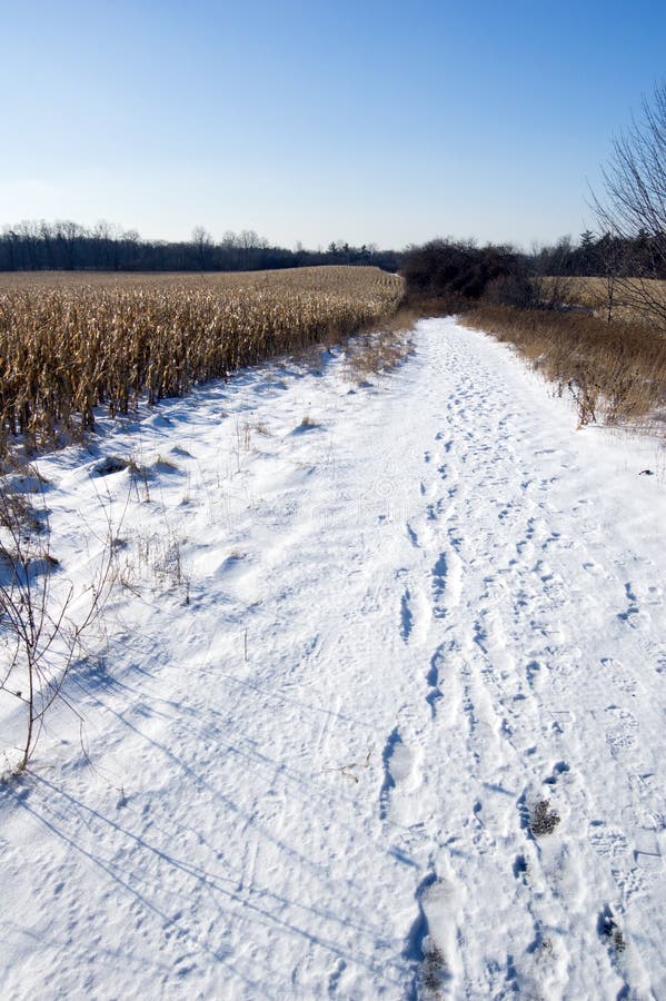 Snow path stock photo. Image of ontario, rural, architecture - 13095368